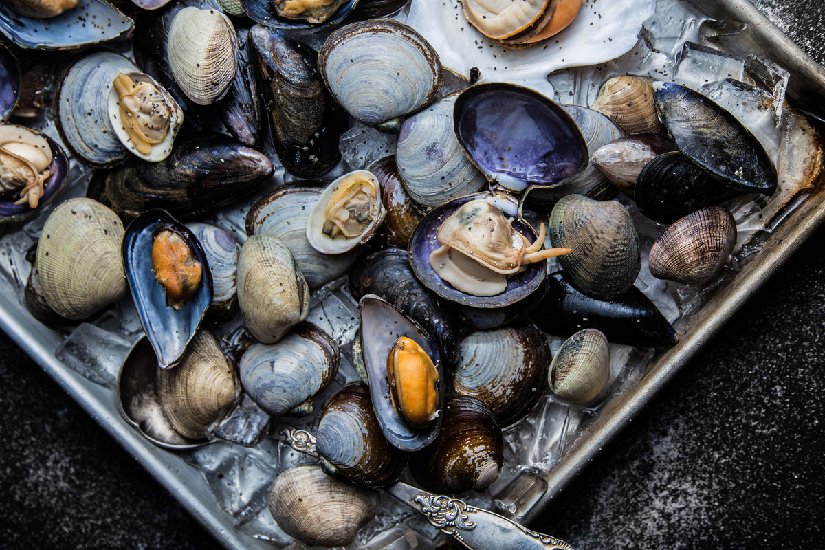 Fresh Mussels | The Lobster Man